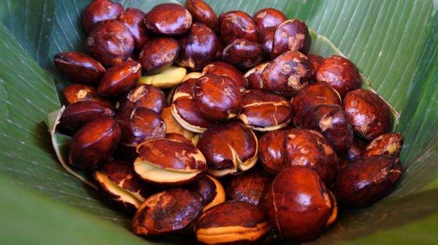 Manfaat Jengkol yang Luar Biasa Untuk Kesehatan, Bisa Cegah Diabetes ...